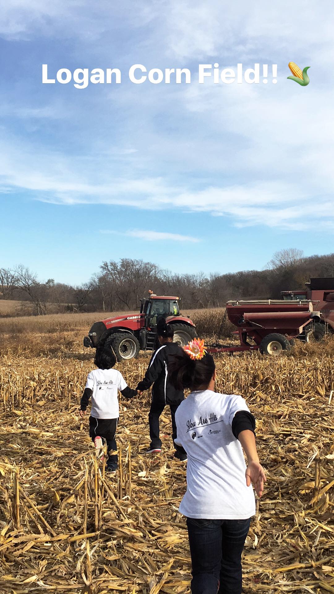 in-the-corn-field-at-logan-iowa-the-girls-first-time-ever-to-see-and ...