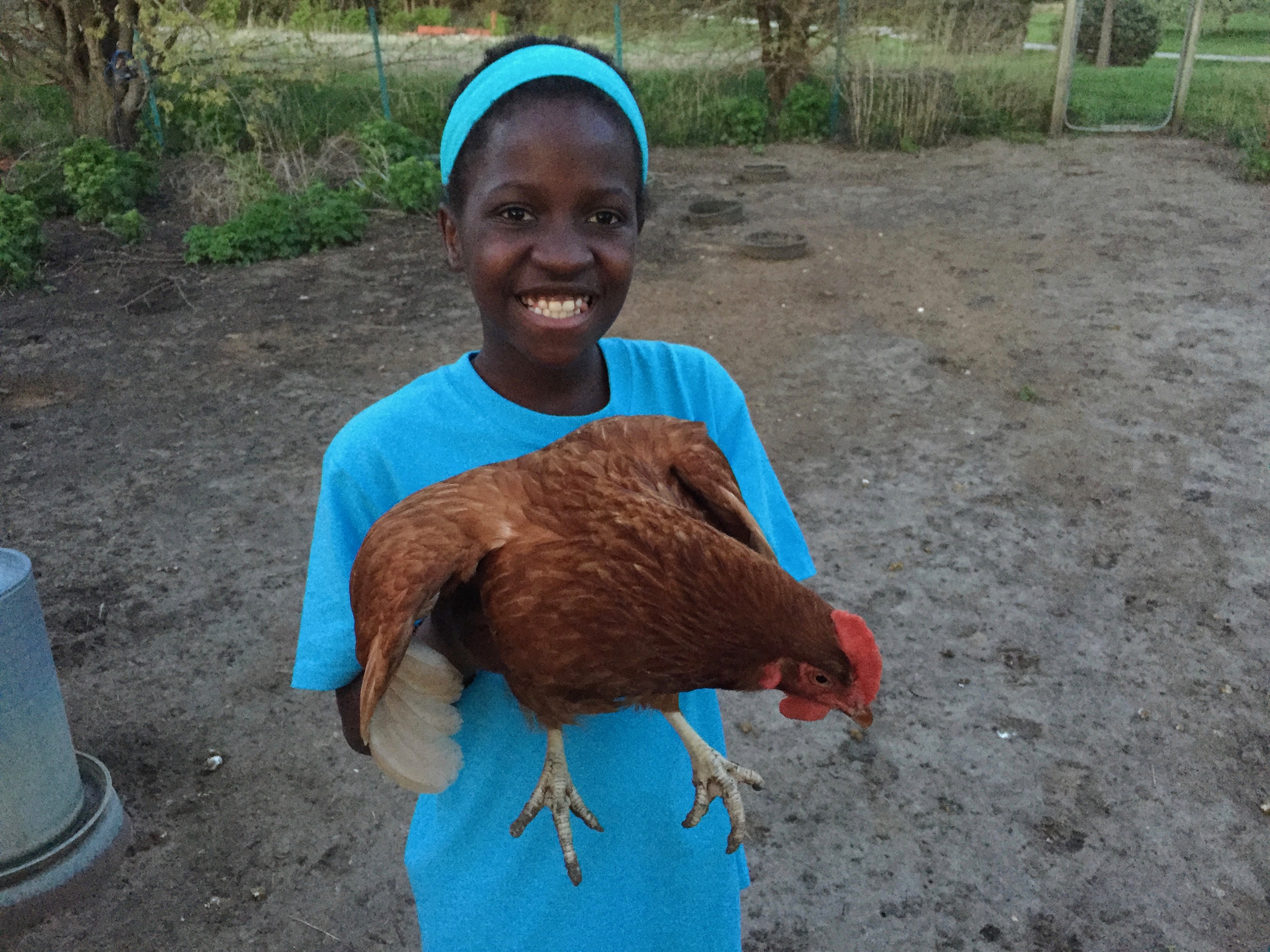 melda-and-feli-experiencing-the-chickens-at-auntie-aprils-home-in-iowa ...